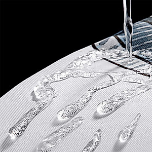 Teal Dahlia Floral Shower Curtain Daisy Flower Butterfly Country Farmhouse Rustic Turquoise Wooden Board Plank Barn Door Bathroom Decor Accessories Polyester Fabric Set with 12 Hooks 70 X 70 in