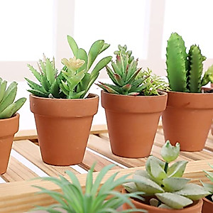 Yishang 2.5 inch Terracotta Pots with Drainage Holes,Small Mini Clay Ceramic Pottery Planter,Cactus Flower Terra Cotta Pots,Succulents Nursery Pots for Indoor/Outdoor Plants,Crafts,Wedding-12 Pack