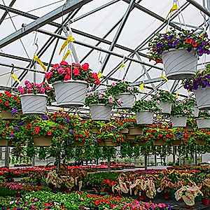 100PCS Heavy Duty S Hooks, 2.4inch Mini S Hook Stainless Steel S Shaped Hooks Pan Holders Pot Rack Hooks for Hanging Kitchen, Utensils, Clothes, Plants, Pots and Pans (Silver)