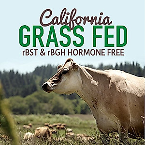 Garden of Life Whey Protein Powder Strawberry - 21g Certified Organic Grass Fed Protein for Women & Men + Probiotics - 12 Servings - Gluten Free, Non GMO, Kosher, Humane and RBST & rBGH Hormone Free