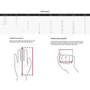 Swix Men's Shield Ski Snowboard Gloves, Black, S