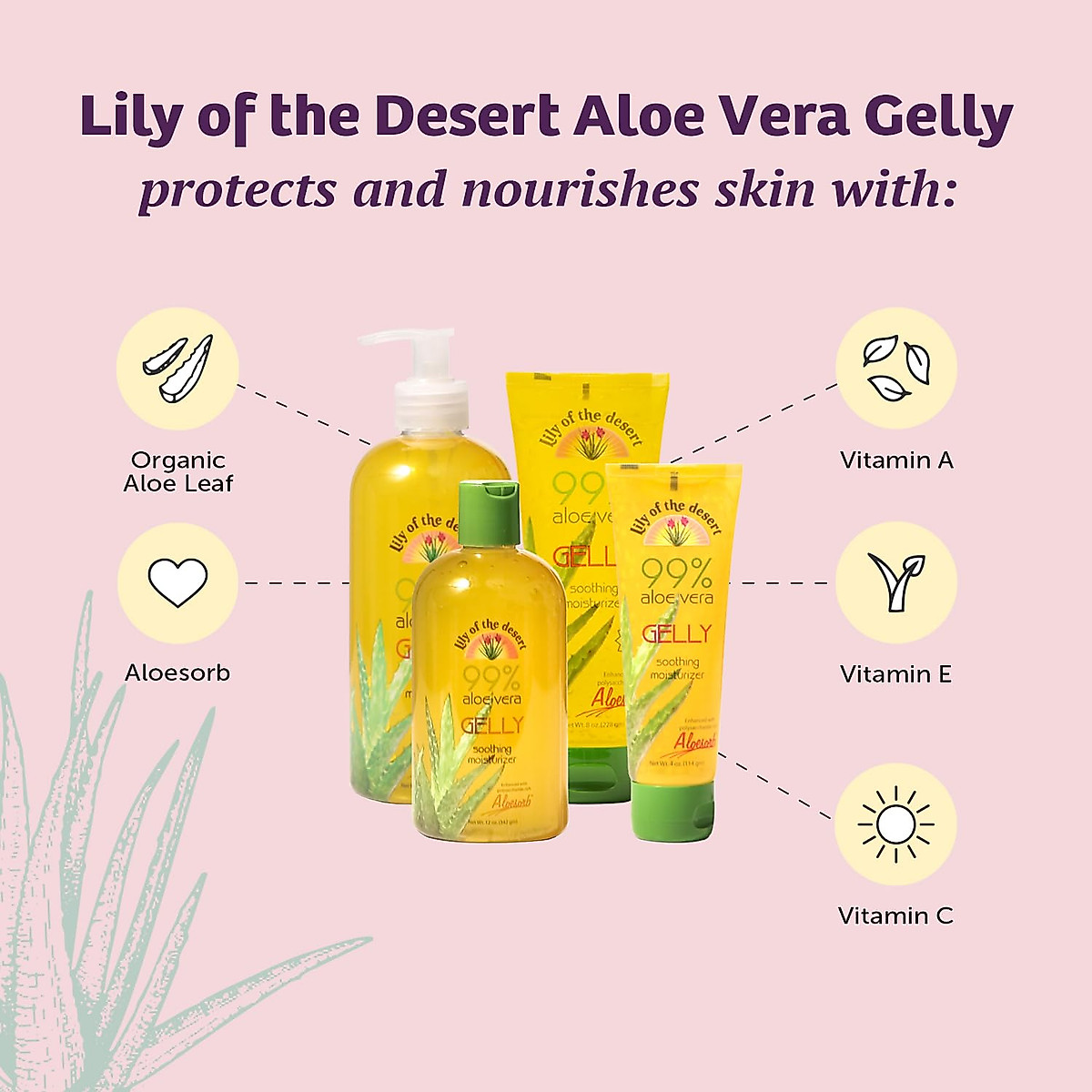 Lily Of The Desert Gelly Moisturizer - 99% Organic Aloe Vera Gel for Skin, After Sun Care with Aloe, Vitamin E Oil, and Vitamin C for Sunburn Relief, 4 Fl Oz