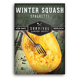 Survival Garden Seeds - Spaghetti Squash Seed for Planting - Packet with Instructions to Plant and Grow Low Carb Healthy Winter Squash in Your Home Vegetable Garden - Non-GMO Heirloom Variety