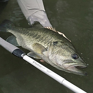 Tenkara USA Fly Fishing HANE™ Rod with Case, Super Compact All-Around for Small & Medium Fish - Ultra-Portable, Carbon Fiber, Lightweight (10ft10in - 330cm) (Tenkara USA Rod Only)