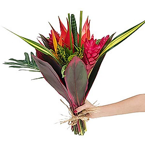 BloomsyBox - Tropical Bouquet Treasure with Bright Heliconias, Pink Ginger and Tropical Greenery (Fresh Cut Flowers)