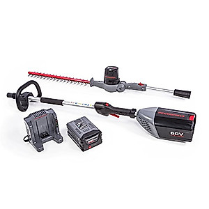 POWERWORKS 60V 20-Inch Cordless Brushed Pole Hedge Trimmer, 2Ah Battery and Charger Included