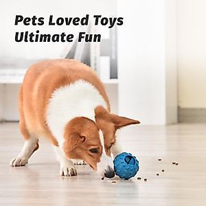 Doudele Dog Toy Balls small - Interactive and Treat Dispensing Toys for Active Dogs，Fetch Balls Extremely Durable Natural Rubber