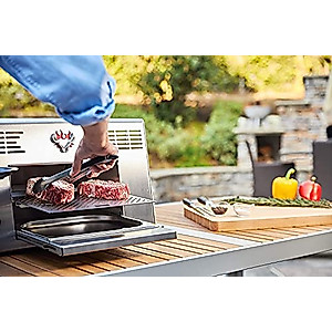 Schwank 1500°F Portable Infrared Grill, Stainless Steel, Propane (LP), Made in USA