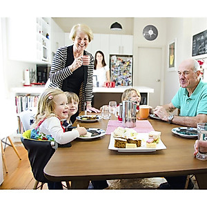 Mountain Buggy Pod Clip-On Highchair, Flint
