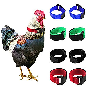 Tkocisa 8 Pack No Crow Rooster Collars, Chicken Collar Anti-Hook Noise Free Neckband No Crow Noise Neck Belt for Roosters - Prevent Chickens from Screaming, Disturbing Neighbors