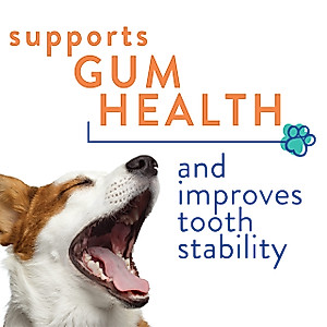 ProBesties Complete Dental Care for Dogs (lg), Probiotic Food Topper Dental Powder for Dogs - Bad Breath Treatment for Dogs - Dog Breath Freshener & Perio Support - Dog Bad Breath Eliminator