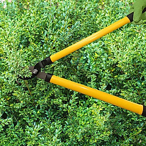Centurion 1222 3-Piece Lopper, Hedge Shear & Pruner Combo Set, Heavy Duty Tree, Shrub & Bush Care Kit for Lawn, Garden & Yard, Ideal for Indoor & Outdoor Gardening, Branch Cutting & Plant Trimming