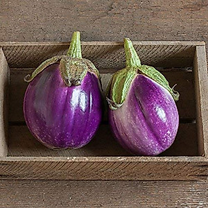 David's Garden Seeds Eggplant Rosa Bianca 2244 (Purple) 50 Non-GMO, Heirloom Seeds
