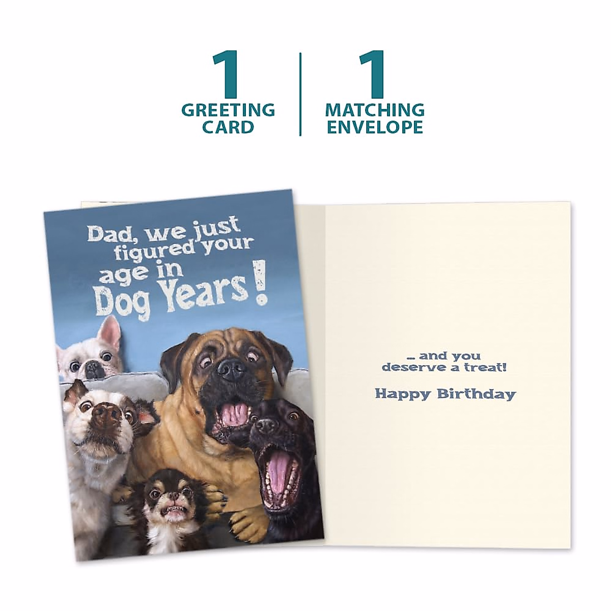 Tree-Free Greetings - Humorous Birthday Cards for Dad - Artful Designs - 1 Card + Matching Envelopes - Made in USA - 100% Recycled Paper - 5"x7" - Dog Years (GO61443)