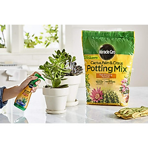 Miracle-Gro Cactus, Palm & Citrus Potting Mix and Plant Food - Bundle of Soil (8 qt.) and Liquid Plant Food (8 oz.) for Growing and Fertilizing Indoor Succulents