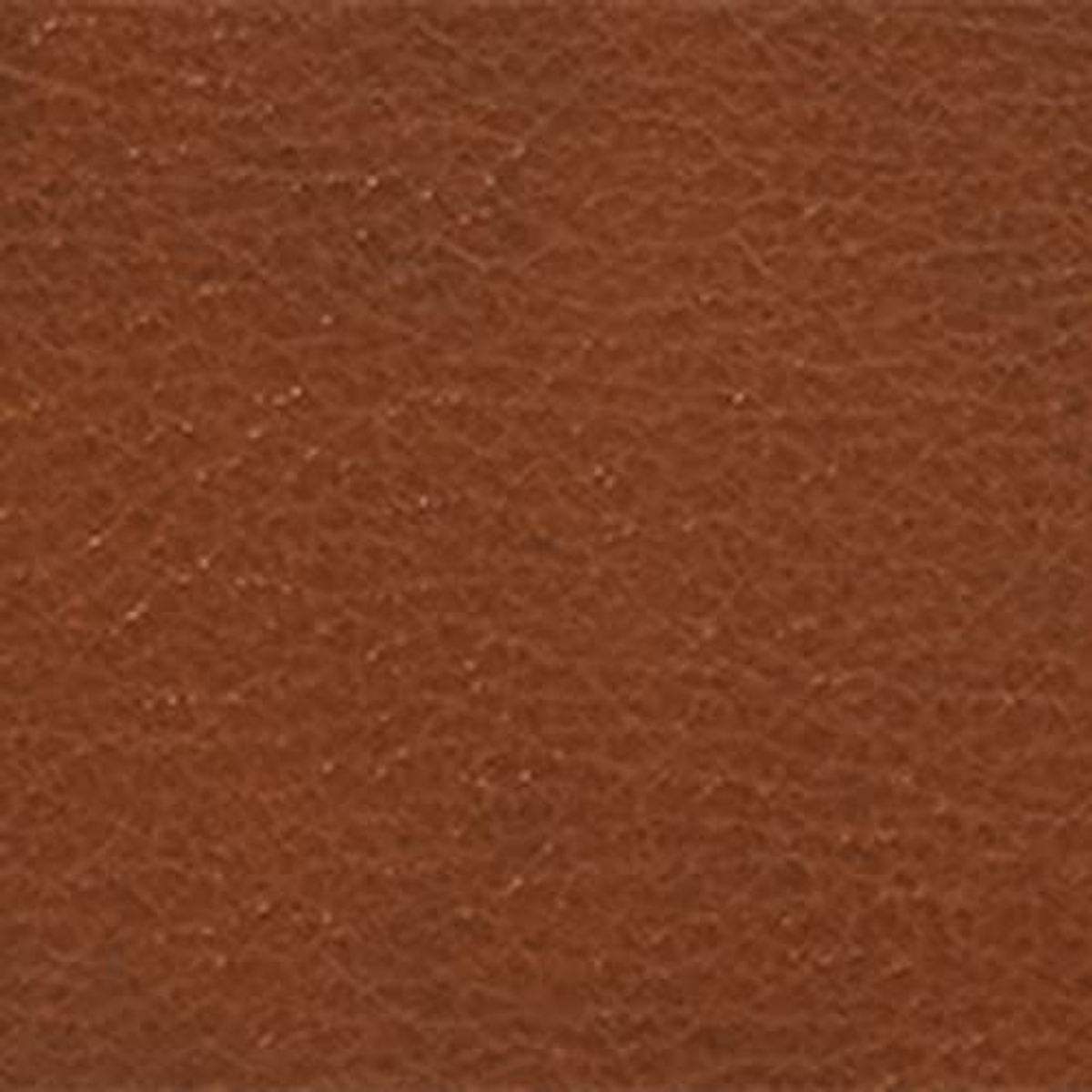 Fossil Women's Small Leather Wristlet Wallet Pouch with Removable Strap