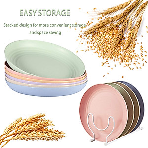 OAMCEG 6 Pack Reusable Plastic Plates 9 Inch Unbreakable Eco-Friendly Lightweight Wheat Straw Plates, Salad Plates, Camping Plates, Dishwasher & Microwave Safe, Green and Healthy Dishes