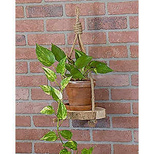 Red Co. Farmhouse 10" Round Paulownia Wooden Slab Indoor Decorative Rope Hanging Shelf