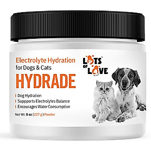 HydrADE Powder - Electrolytes for Dog & Cat Dehydration - Hydration for Dogs & Cats - Lots of Love Pet Products (8 Oz)