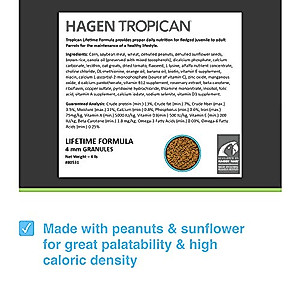 Hari Hagen Tropican Lifetime Formula Parrot Food, 4 lb Parrot Food with Peanuts & Sunflower Seeds and Balance Nutrition Levels