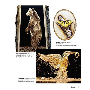 Woodburning Realistic Animals: 12 Step-by-Step Pyrography Projects of Birds, Pets, and Wildlife (Fox Chapel Publishing) Tutorials for Eyes, Fur, Manes, & Whiskers; Projects for Big Cats, Owls, & More