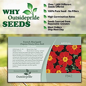 Outsidepride Tagetes Patula Disco Red French Marigold Garden Pollinator Flowers & Butterfly Attractant - 200 Seeds