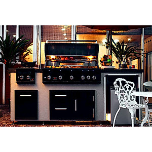 Whistler Vertical Stainless Steel Single Access Door for Outdoor Kitchen BBQ Grill Island,16.50"×22.50"×3.2",Black