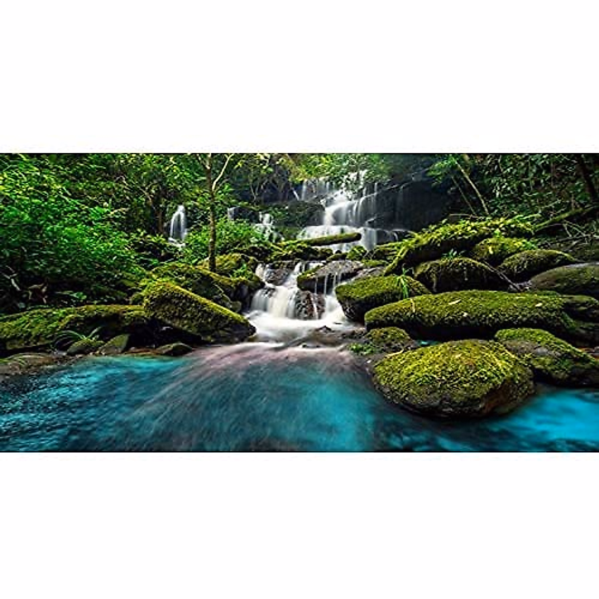 AWERT 48x18 inches Waterfall Terrarium Background Tropical Rainforest Aquarium Background Mountain Lake Green Tree Reptile Habitat Background Polyester Background
