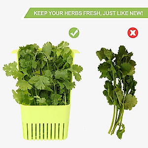 LUVCOSY Fresh Herb Keeper for Refrigerator, Clear BPA-Free Herb Saver, Storage Container for Cilantro, Parsley, Thyme, Mint & Asparagus, Preserver Keeps Fresh Herbs for 3 Times Longer, Green & Orange