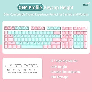 117 Key Custom PBT Keycap Set Double Shot OEM Profile for 61/68/87/98/100/104Key Compact 60% and Full Size GMMK Cherry MX Gateron Kailh Cross Type Switch US Layout Mechanical Keyboard DIY(Pink Blue)