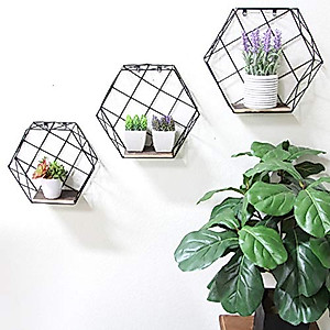 Admired By Nature Wall-Mounted Metal Wire Hanging Storage Shelves, A. Black