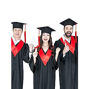 Fahacop 25 Pack 2023 Graduation Tassels Graduation Cap Tassel Charm Academic Graduation Tassels with Gold Date Charm for 2023 Year Graduation Party Ceremony (Red)