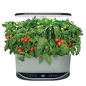 AeroGarden Salsa Garden Seed Pod Kit (9-pod)