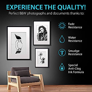 Smart Ink Compatible Ink Cartridge Replacement for HP 950XL 950 XL (Black, 2 Pack Combo) to use with OfficeJet Pro 8600 8610 8620 8600 Plus 8100 8625 8615 8630 8110 8616 8640 8660 251DW 271DW