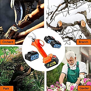 Vrseis Lithium Pruning Shears 21V Electric Secateurs SK5 Sharp Blade Branch Cutter 1 Inch/25mm Cutting Diameter with Toolbox Portable Rechargeable Garden Fruit Tree Bushes Trimmer