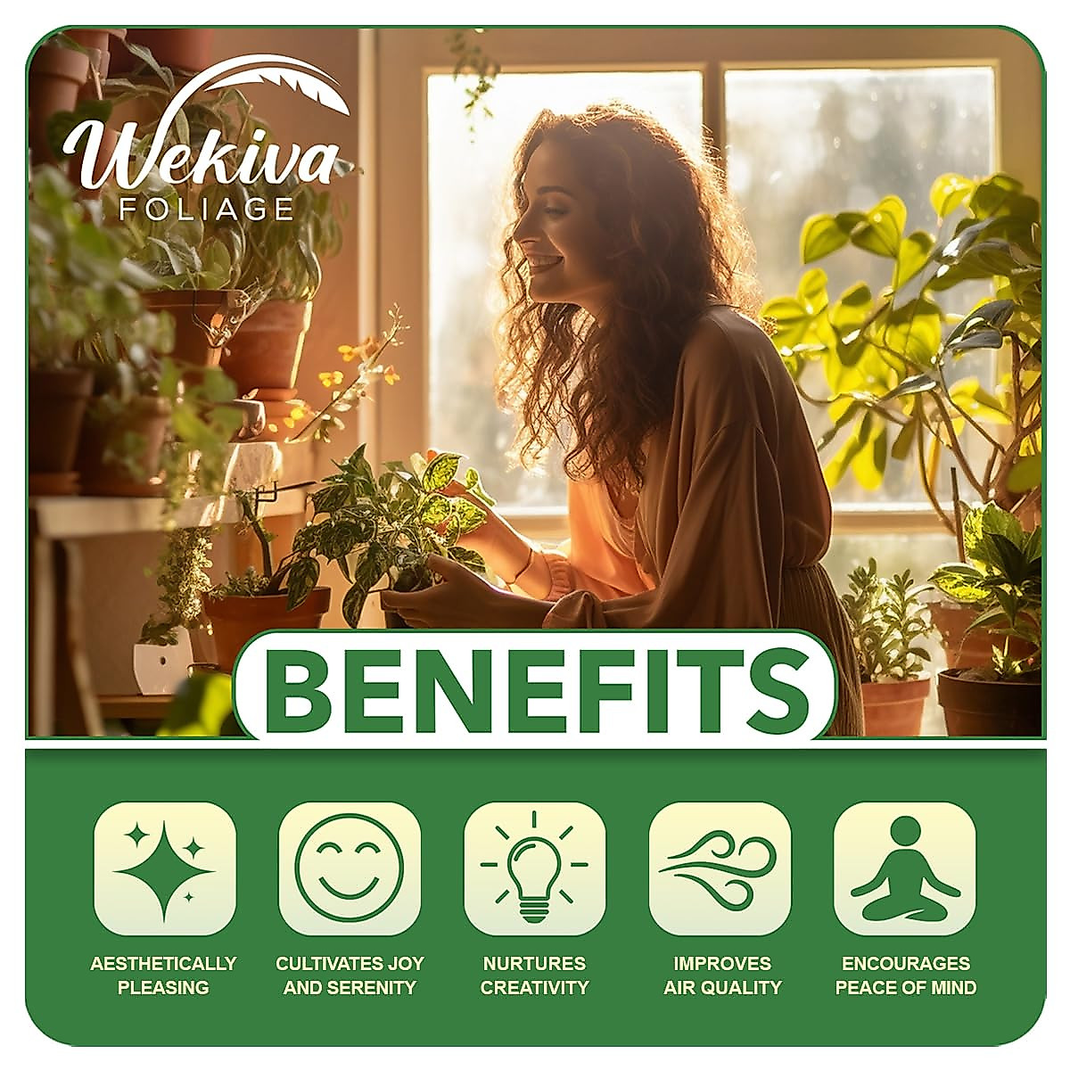 Banana Tree - Live Plant in a 4 Inch Growers Pot - Grower's Choice Based Availability - Edible Fruit Bearing Tree for The Patio and Garden