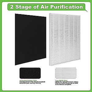 Hichoryer D360 True HEPA Replacement Filter D3, Compatible with Winix D360 Air Purifier, Part Number 1712-0101-02, 2 H13 True HEPA Filters & 8 Activated Carbon Filters