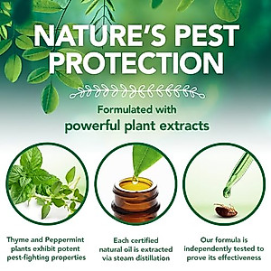 Vet's Best Tick Killing Spray | Tick Treatment Spray for Dogs | Plant-Based Formula | 1 Ounce