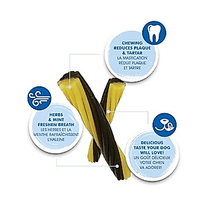 N-Bone FLOSSta Dual Action Dental Chews Mint Flavor, 6.4-oz Bag