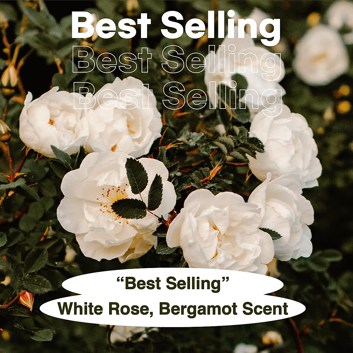 skybottle Hair & Body Mist, Lasting Fragrance with Bergamot, White Rose Scent, Travel Size Perfume and Body Spray, Hygiene Essentials for Women, Girls Valentine Gift, 3.4 Fl. Oz