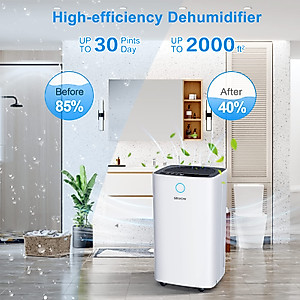 SEAVON 30 Pint Dehumidifiers for 2000 Sq. Ft Home Basement with Drain Hose, Dehumidifier with Auto and Manual Drainage,12 Hours Timer, Child Lock, Dry Clothes, Intelligent Humidity Control for Bedroom