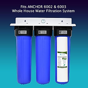 Anchor Sediment Replacement Filter Cartridge for Whole House Water Filtration Systems, 4.5 in. x 20 in. (2)