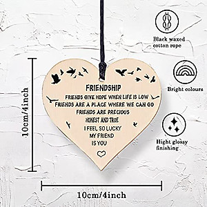 Birthday Gifts for Women Friendship Funny Relationship Gifts Unique Inspirational Personalized Small Plaques Under 10 Dollars Presents for Men Women Her Female BFF Girls