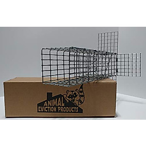 Animal Eviction Products One Way Door Excluder Valve for Squirrels