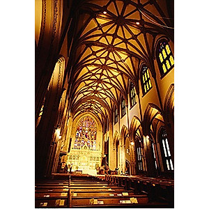 BAOMING PAR 56 LED Bulb Dimmable Replace Standard Halogen PAR56 300 Watt Light AC/120V 28W Warm White (2700~3000K) Base Type: GX16D