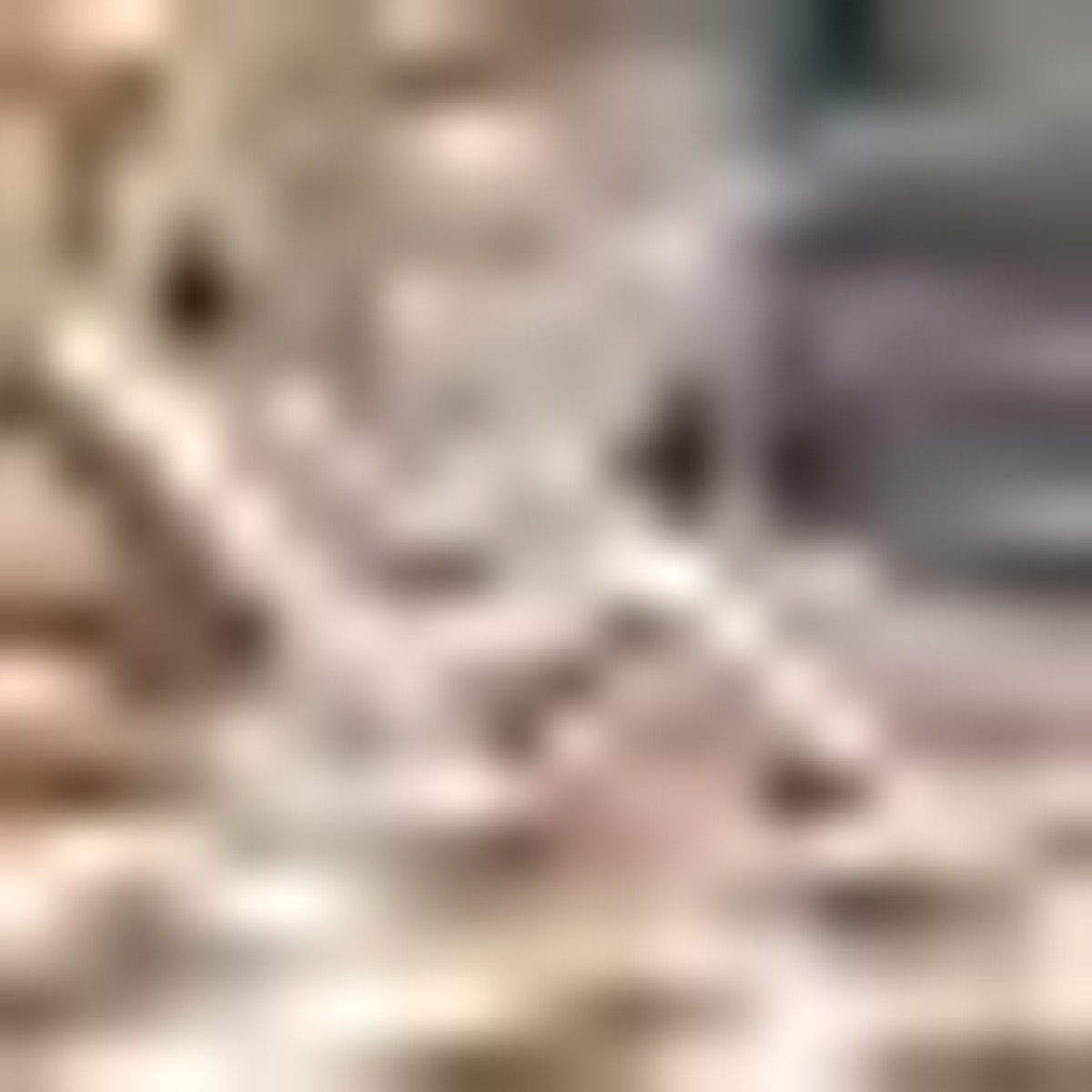 Clear Crossbody Bag Stadium Approved Clear Bag， PVC Crossbody Backpack with Adjustable, for Sports Concert Prom Party Present