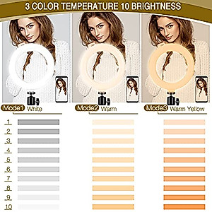 Video Conference Lighting Kits, 6” LED Selfie Ring Light with Tripod Stand, Clip on Laptop Monitor for Webcam Lighting/Zoom Lighting/Remote Working/Self Broadcasting/Live Streaming