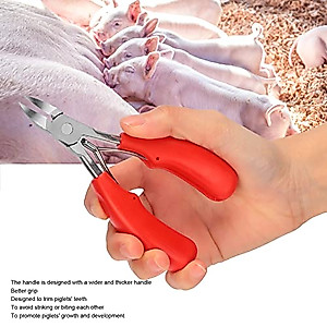 HEEPDD Multifunctional Piglets Teeth Clipper Stainless Steel Piglet Teeth Cutter Pig Tooth Nipper
