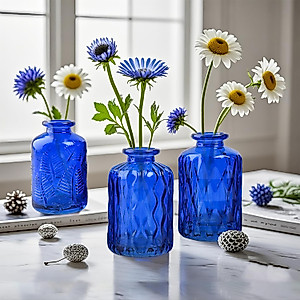 ELEGANTTIME Cobalt Blue Glass Bud Vase Small Flower Vase Mini Bottle with Cork Wire Handle Design for Deco Cafes, Office Table, Home and Garden(Set 5)