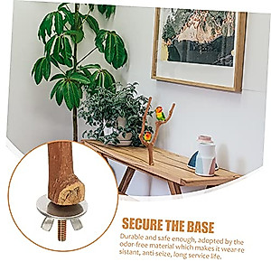 Budgie Cage Accessories Bird Screw Mount Toy- Bird Perch can Help Increase Pets' Activity Space, a Nice Toy for Parrot. It Will give Them a Good Experience.